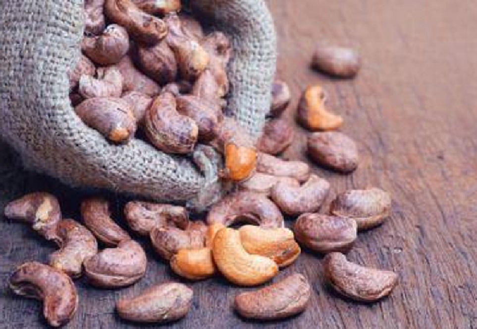 A la Une - Côte d’Ivoire : le prix à la production de l’anacarde recule ...