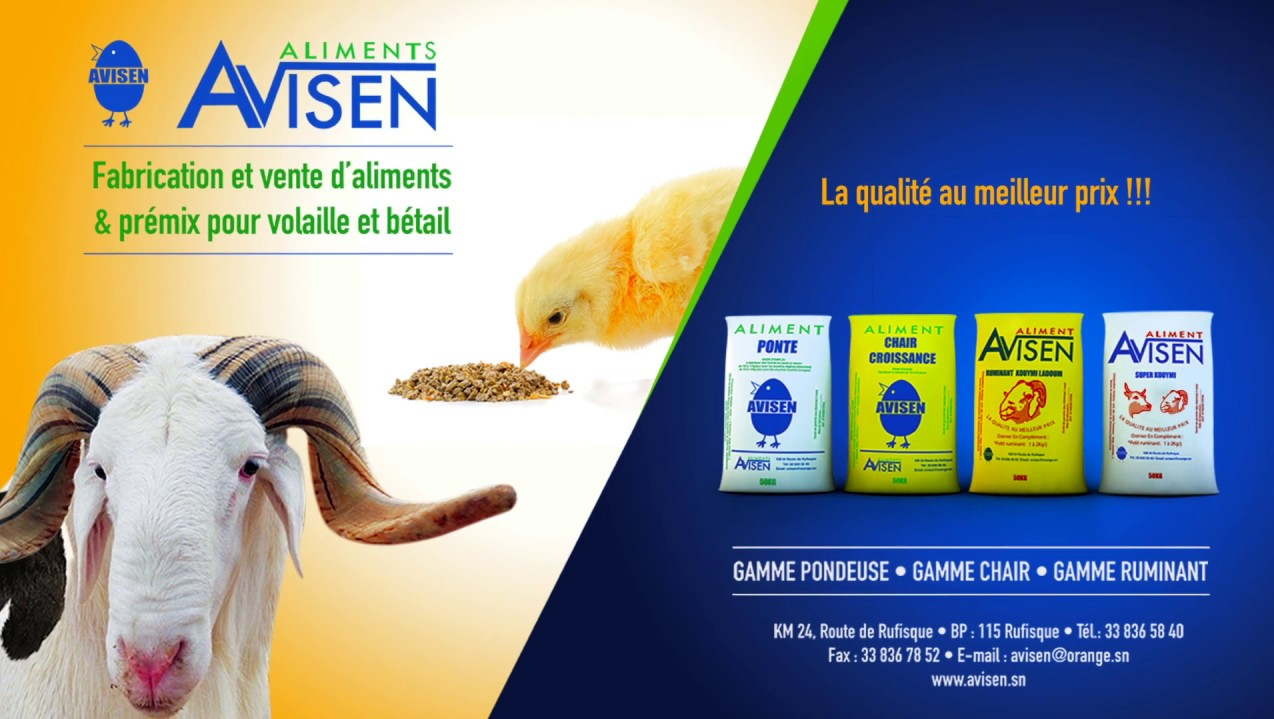 A la Une - Elevage- Sénégal : Olam Agri se lance dans la fabrication d ...